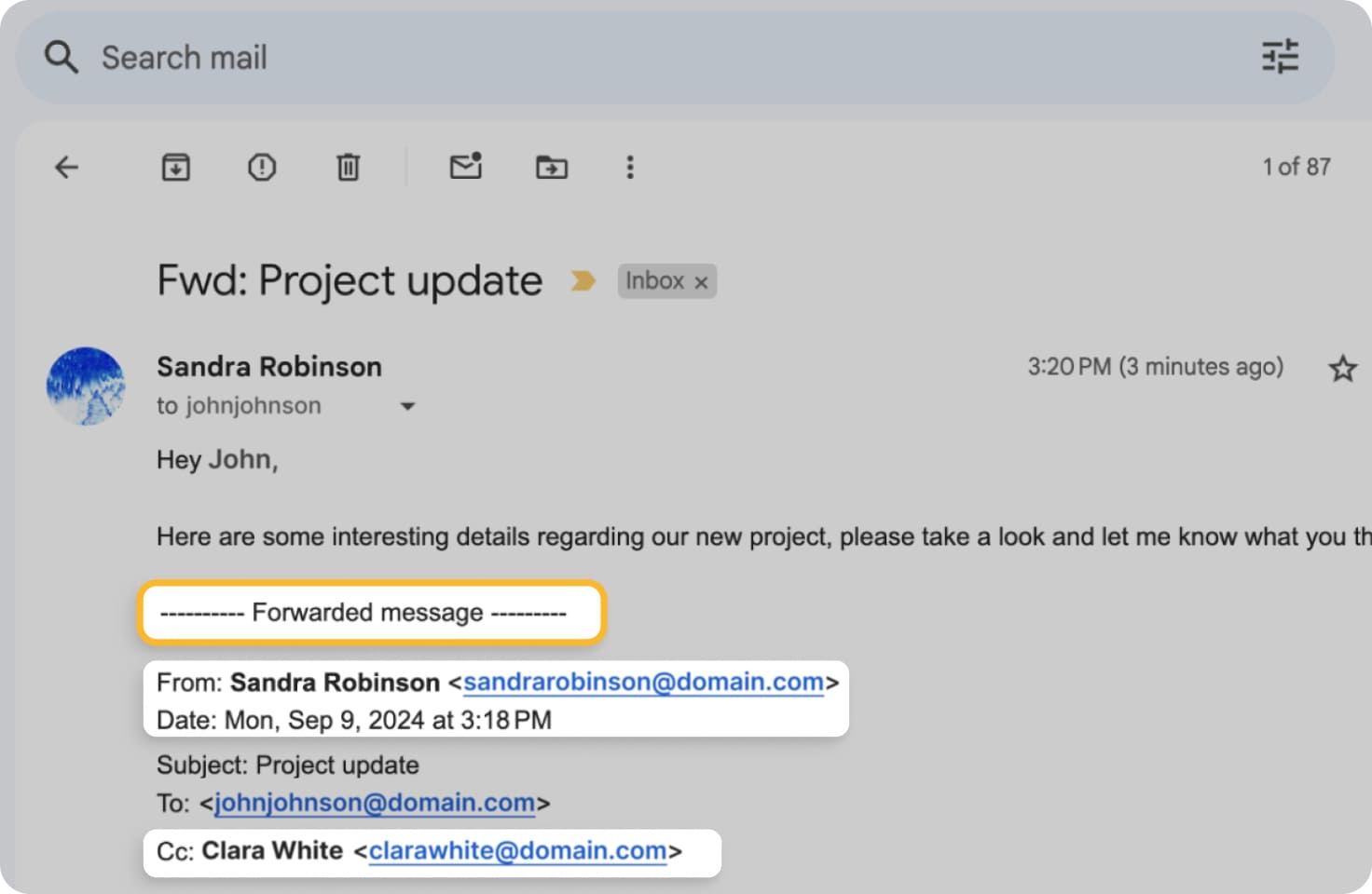 Can Someone See If You Forward Their Email? Basics To Know